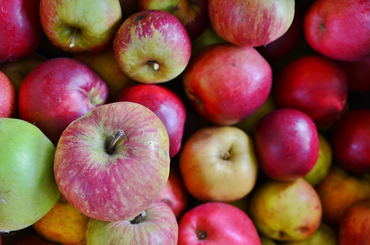 Heritage Apple Day West Coast Food