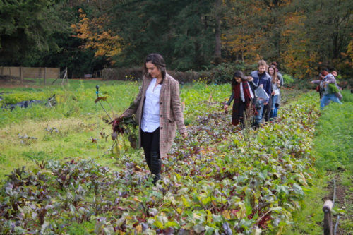Good Natured Growing at A Rocha Organic Farm in Surrey - West Coast Food